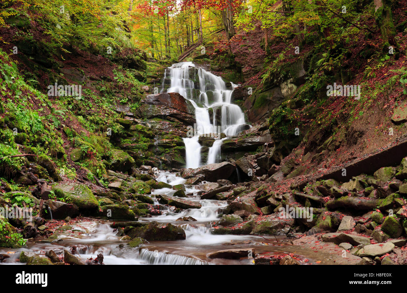 Beautiful view of the waterfall in the beech forest in the golden ...