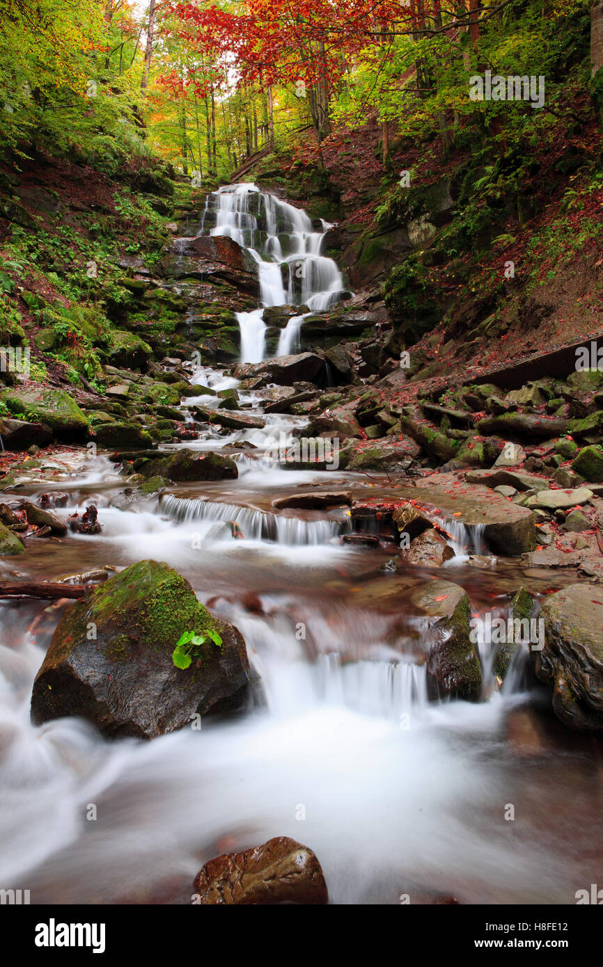 Beautiful view of the waterfall in the beech forest in the golden ...