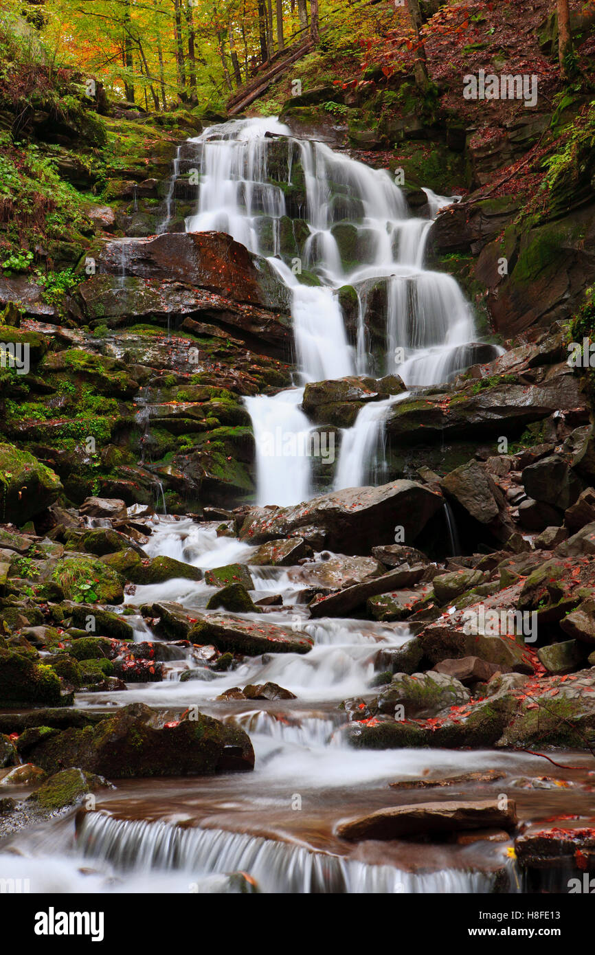 Beautiful view of the waterfall in the beech forest in the golden ...