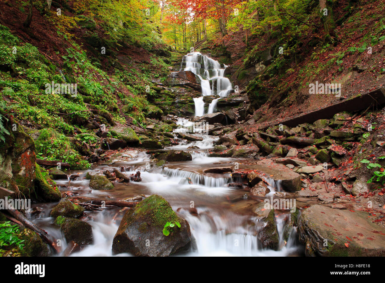 Beautiful view of the waterfall in the beech forest in the golden ...