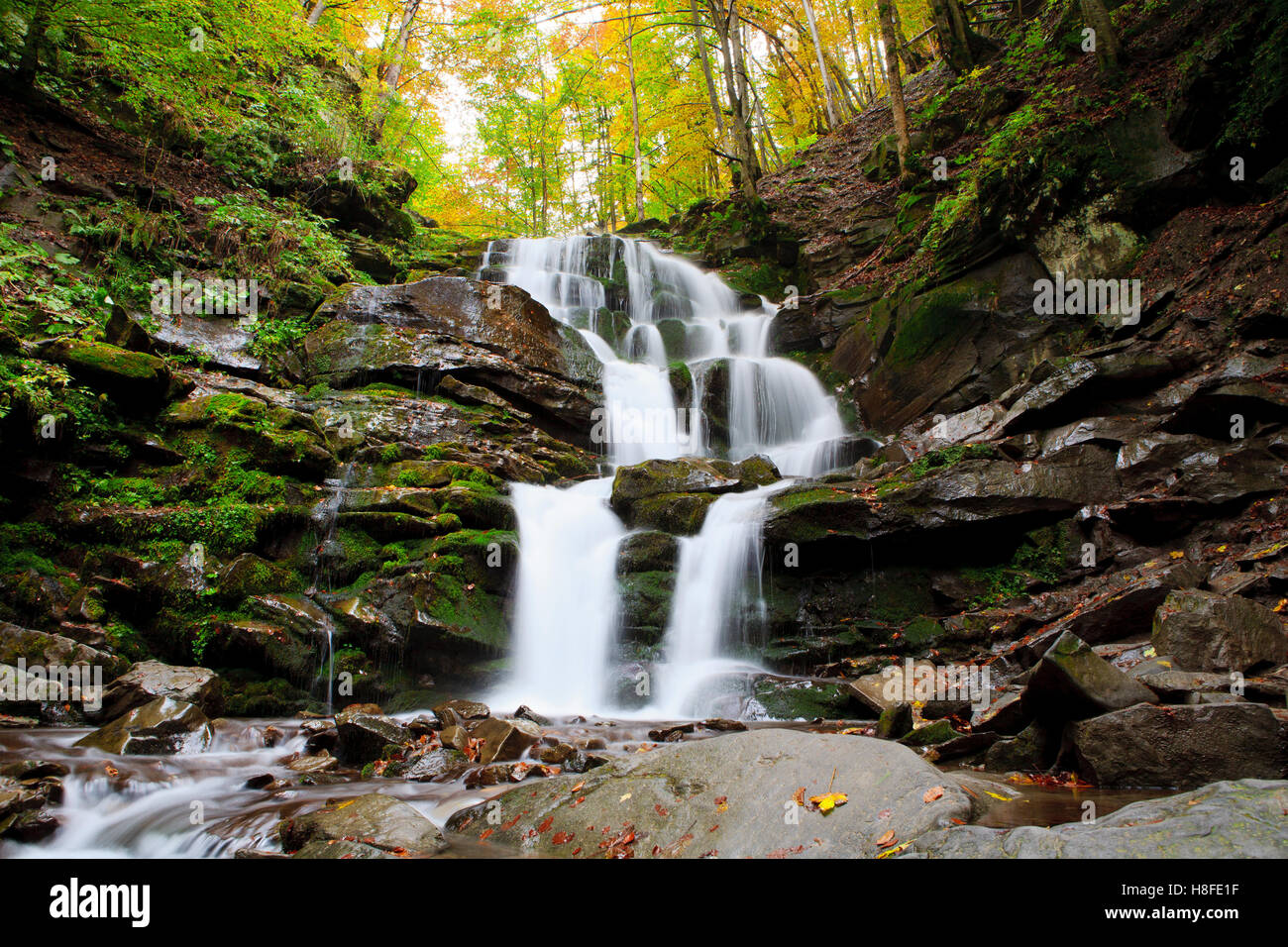 Beautiful view of the waterfall in the beech forest in the golden ...