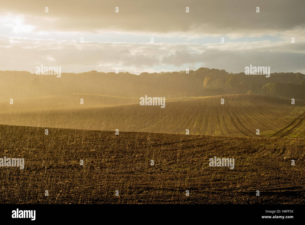 Rain farm hi-res stock photography and images - Alamy