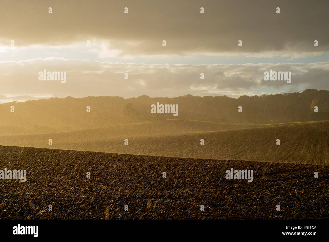 Rain Pouring on Tilled Farm Land Stock Photo - Alamy
