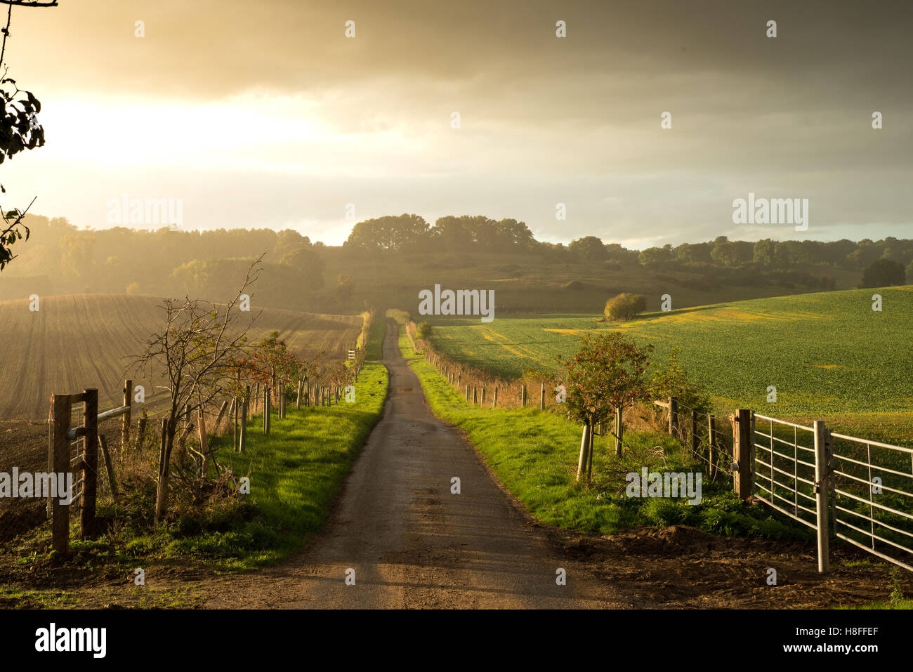 Rural farm dirt road hi-res stock photography and images - Alamy