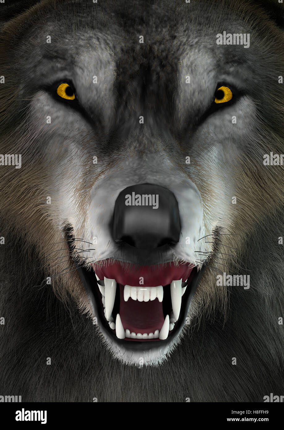 3D rendering of a head of a wolf, closeup Stock Photo - Alamy