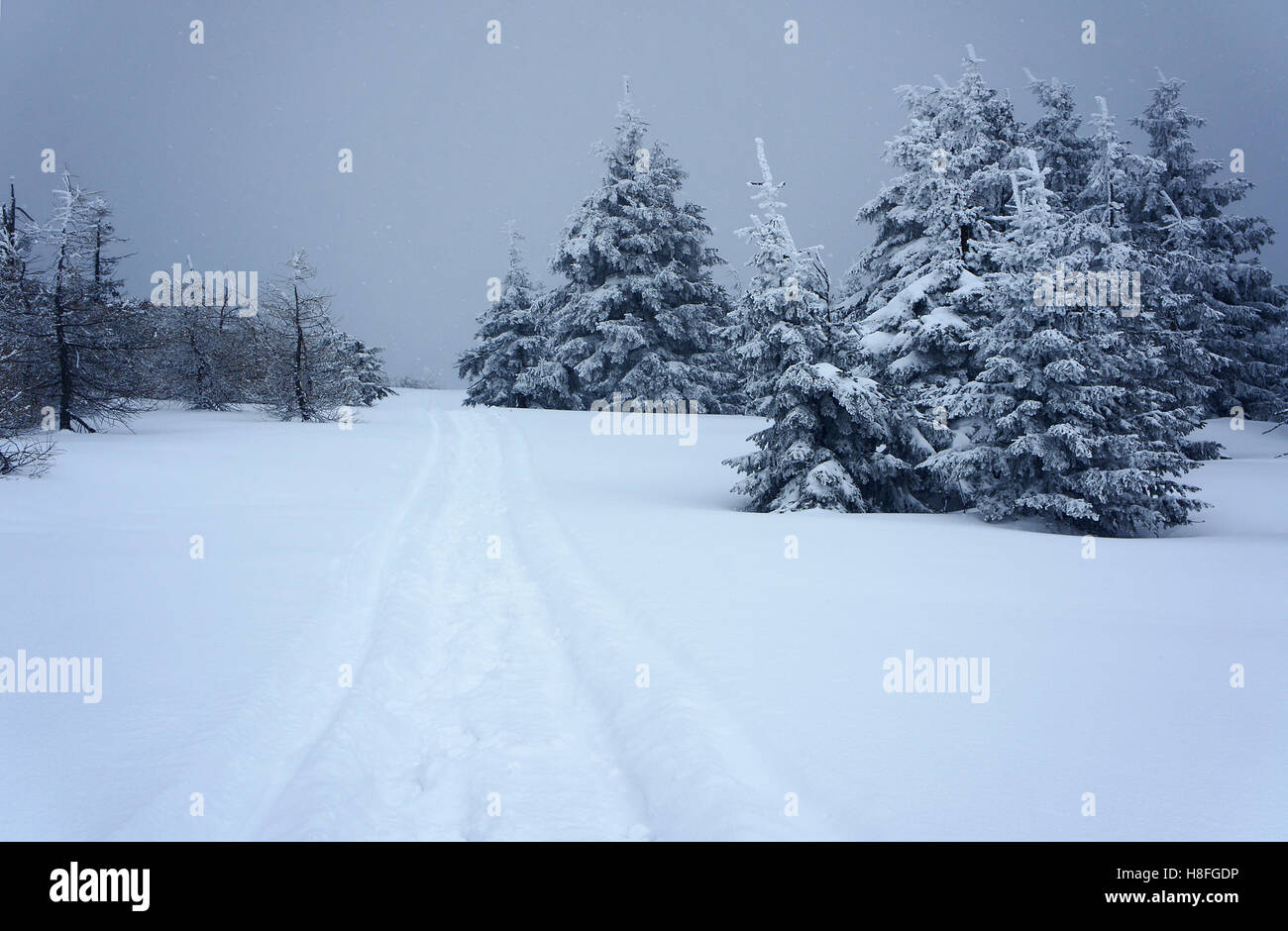 Road buried under snow hi-res stock photography and images - Alamy