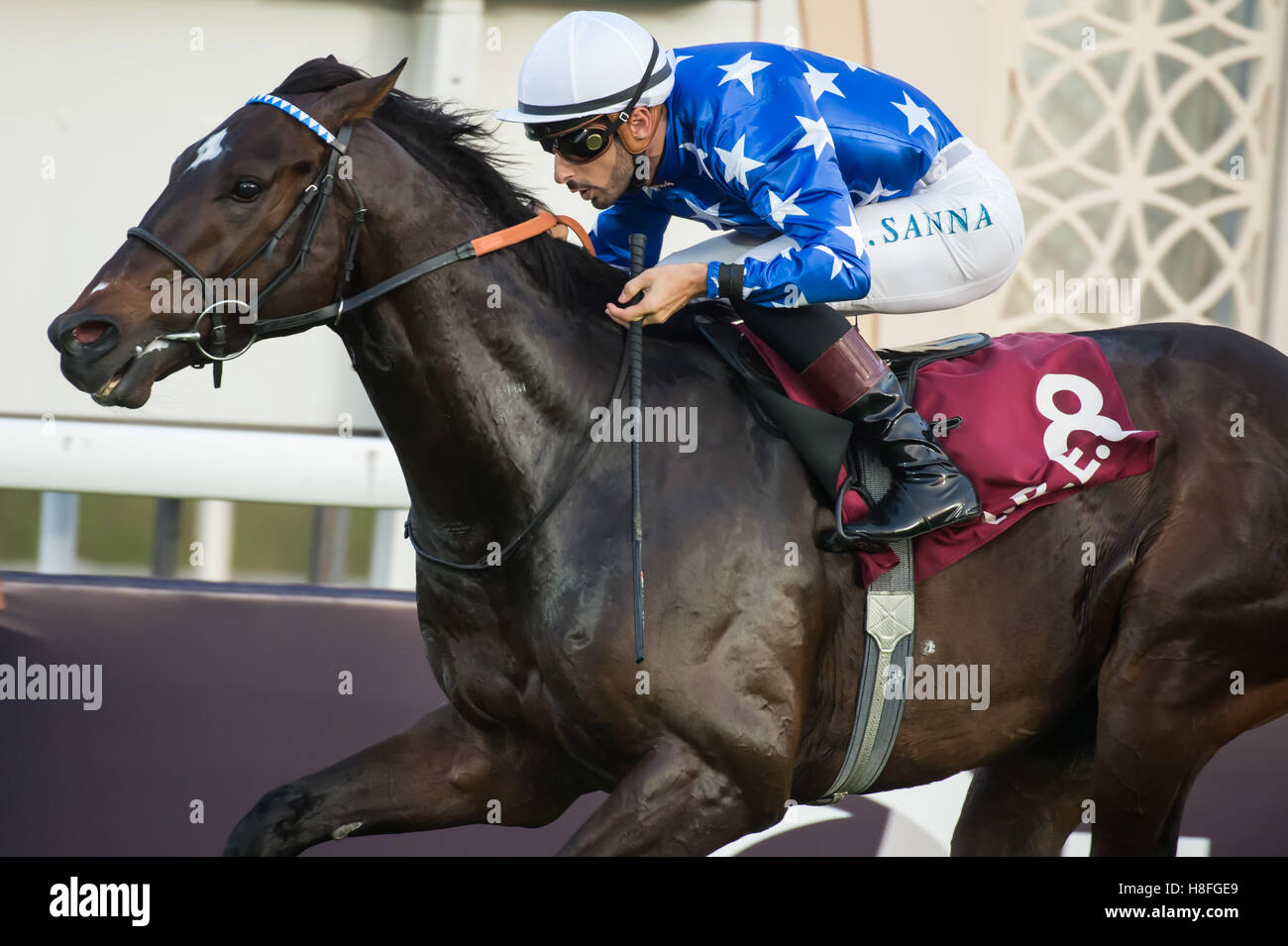 Qatar racing equestrian club doha hi-res stock photography and images ...