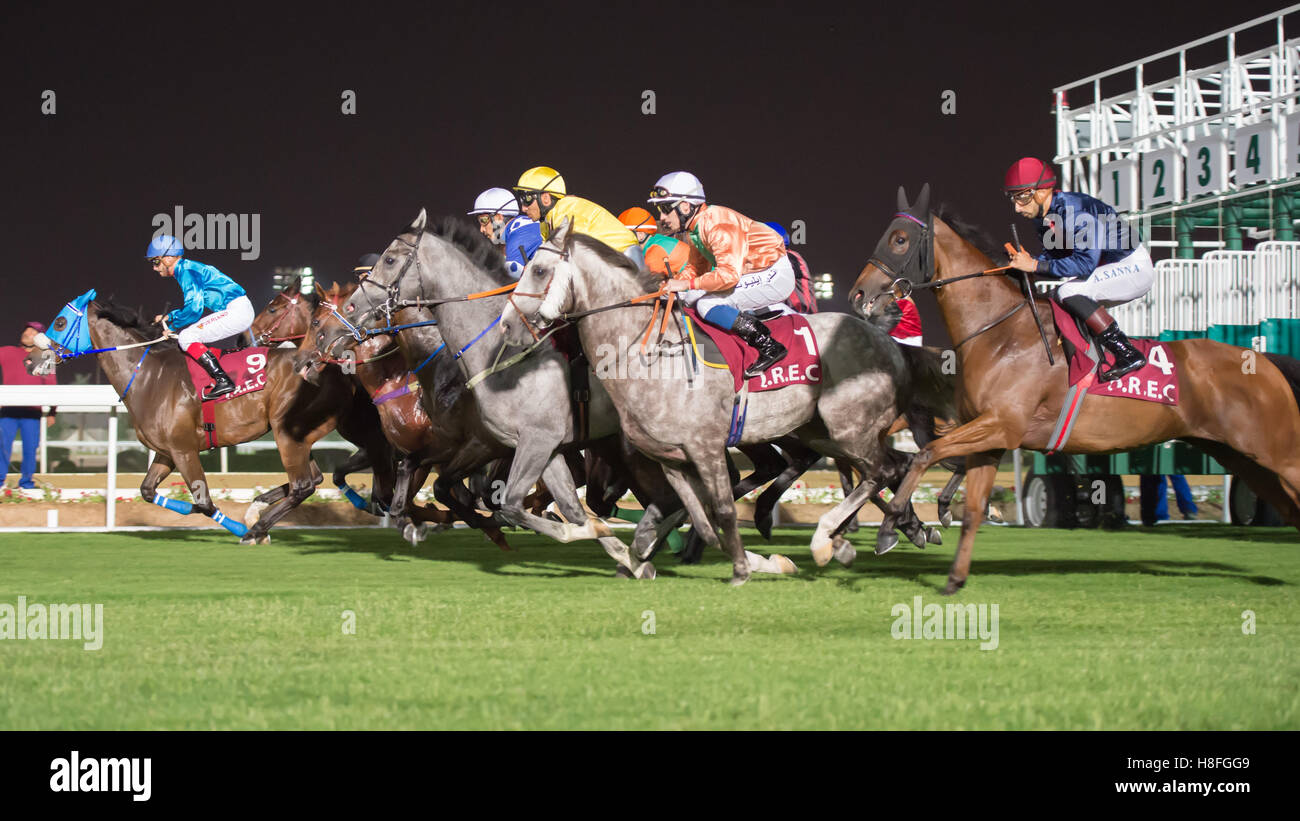 DOHA, QATAR - November 3rd 2016 Qatar Racing and Equestrian Club. Luca ...
