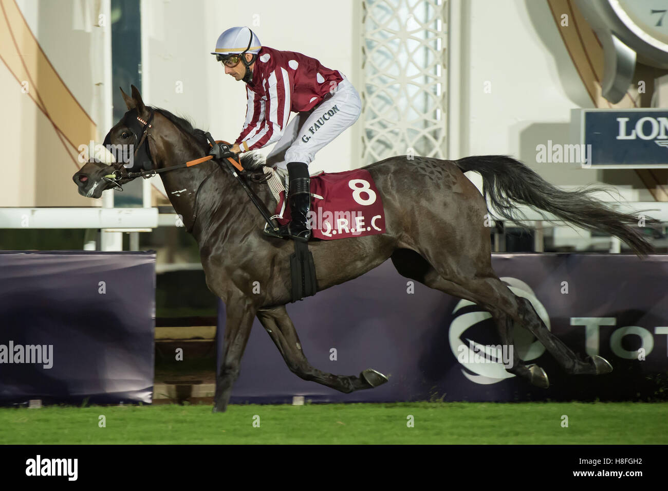 DOHA, QATAR - November 3rd 2016 Qatar Racing and Equestrian Club ...