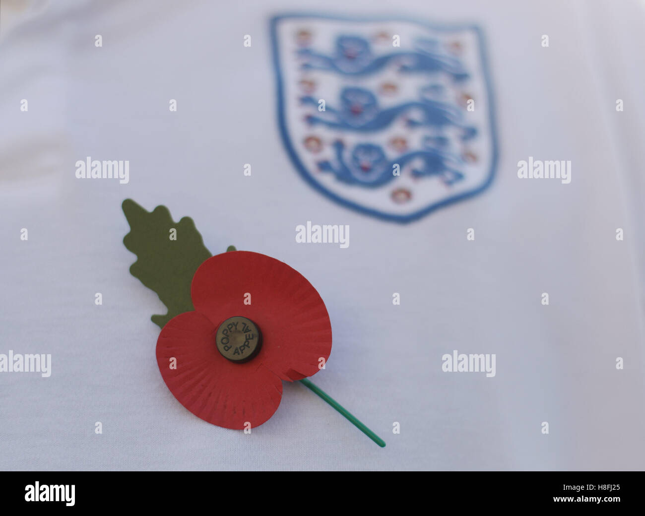 An English football fan wearing a poppy during an event in London's ...