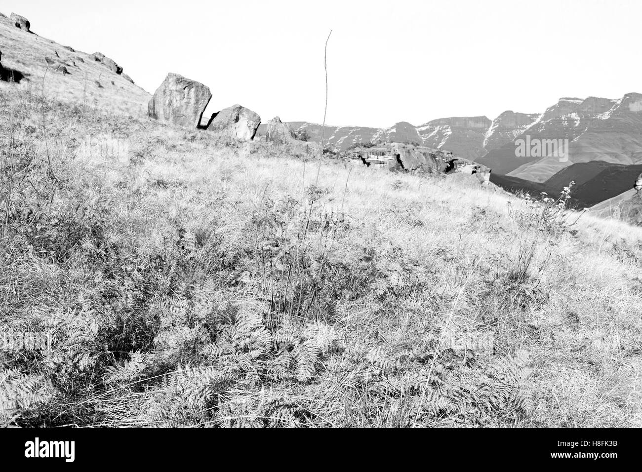 blur in south africa valley of desolation dirty road rock tree and sky ...