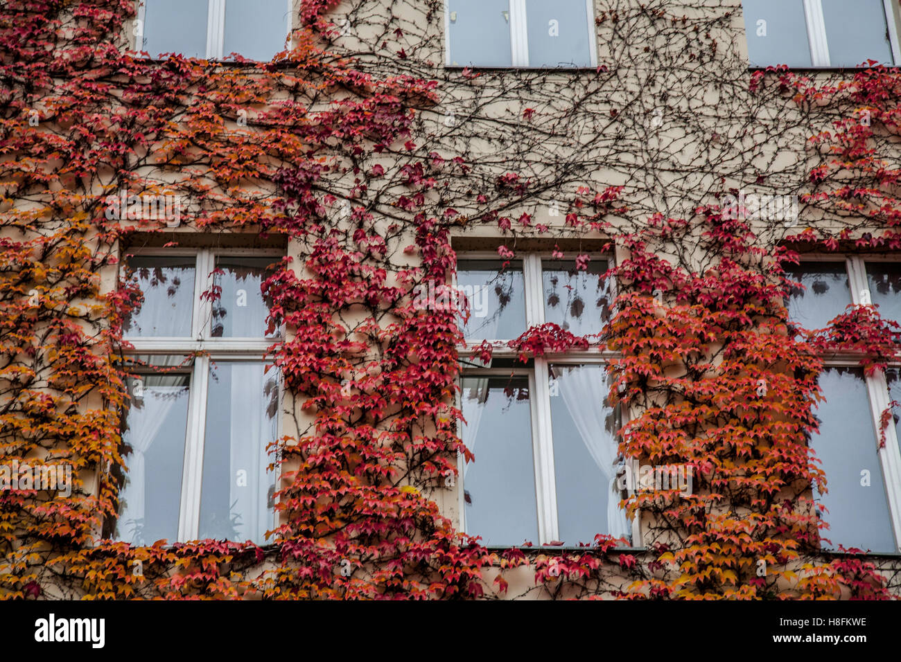 Berlin autumn hi-res stock photography and images - Alamy