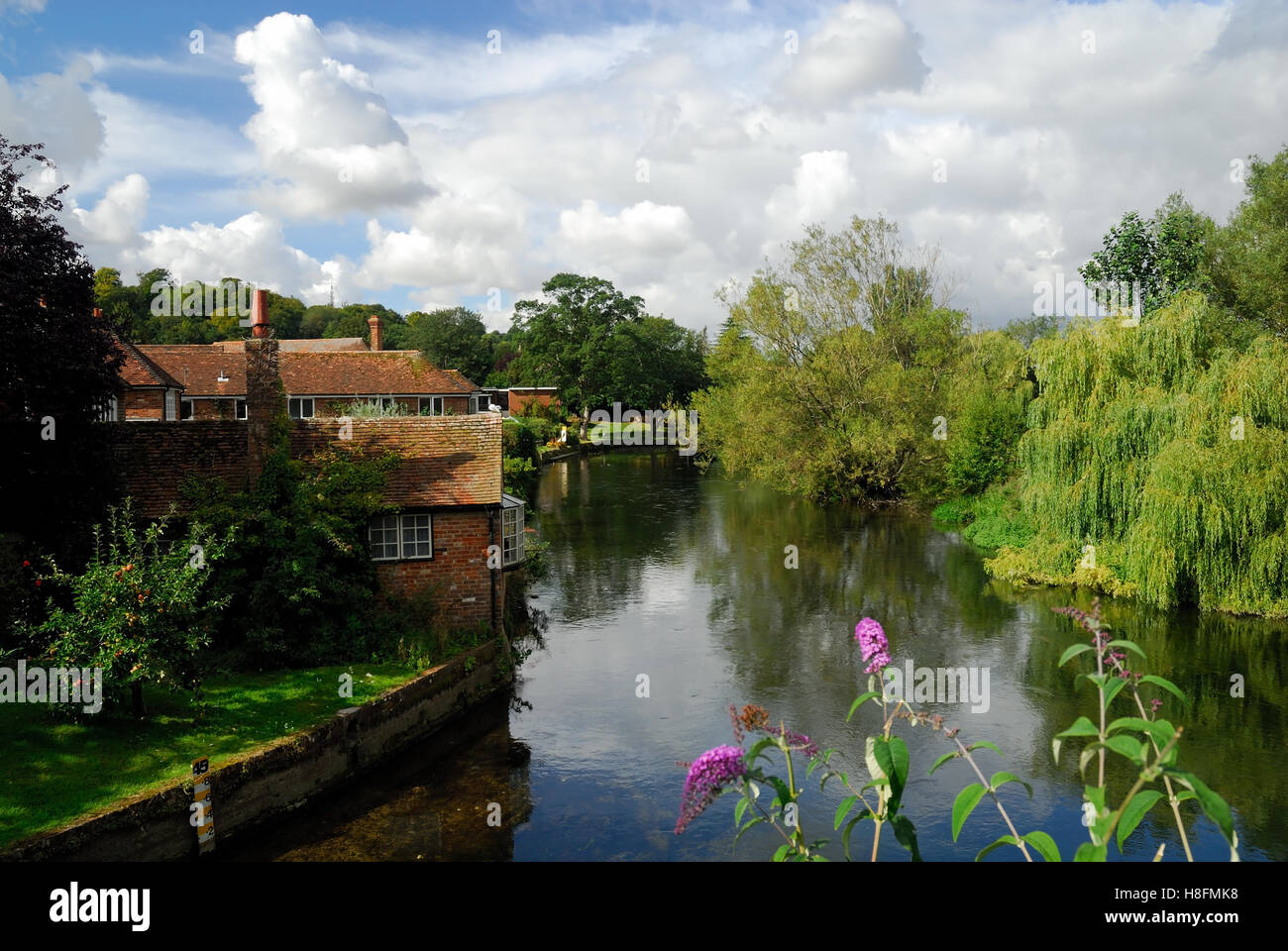 The river Avon in Salisbury, seen from Ayleswade bridge Stock Photo - Alamy