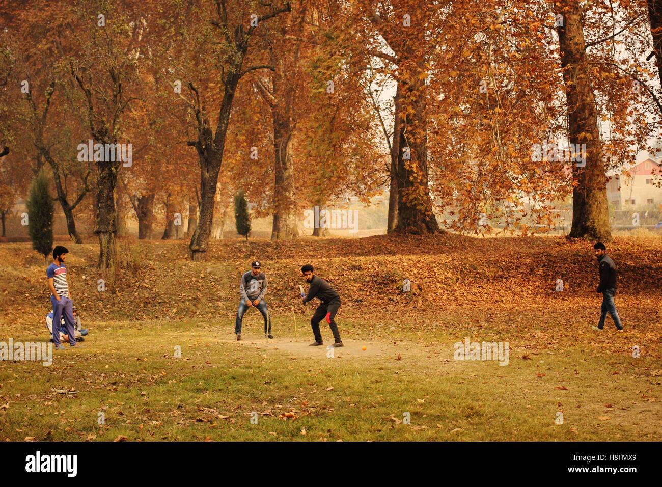 Srinagar, India. 11th Nov, 2016. Children play cricket in the midst of ...