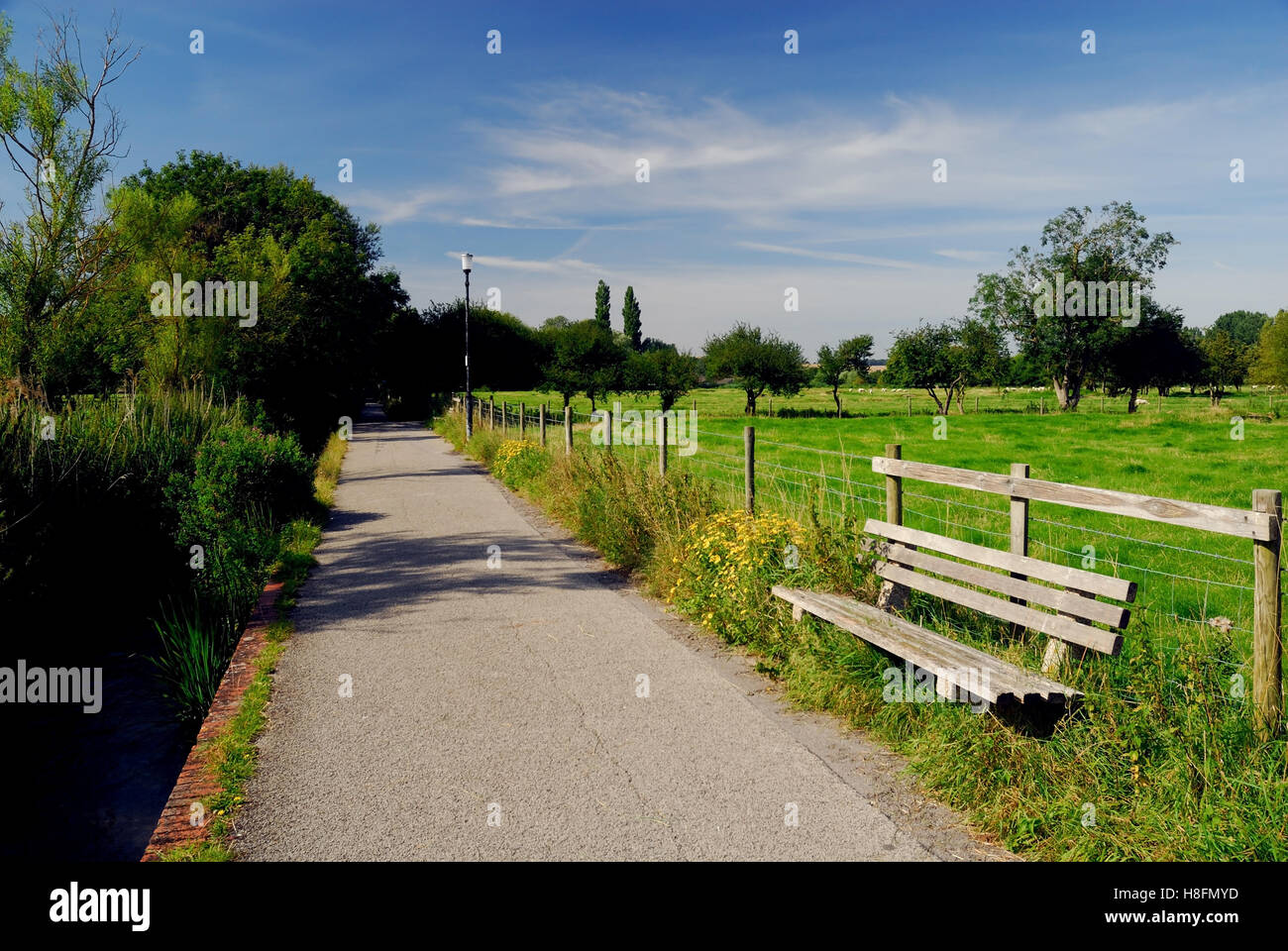 Town Path, Salisbury, a public footpath across Harnham water meadows ...