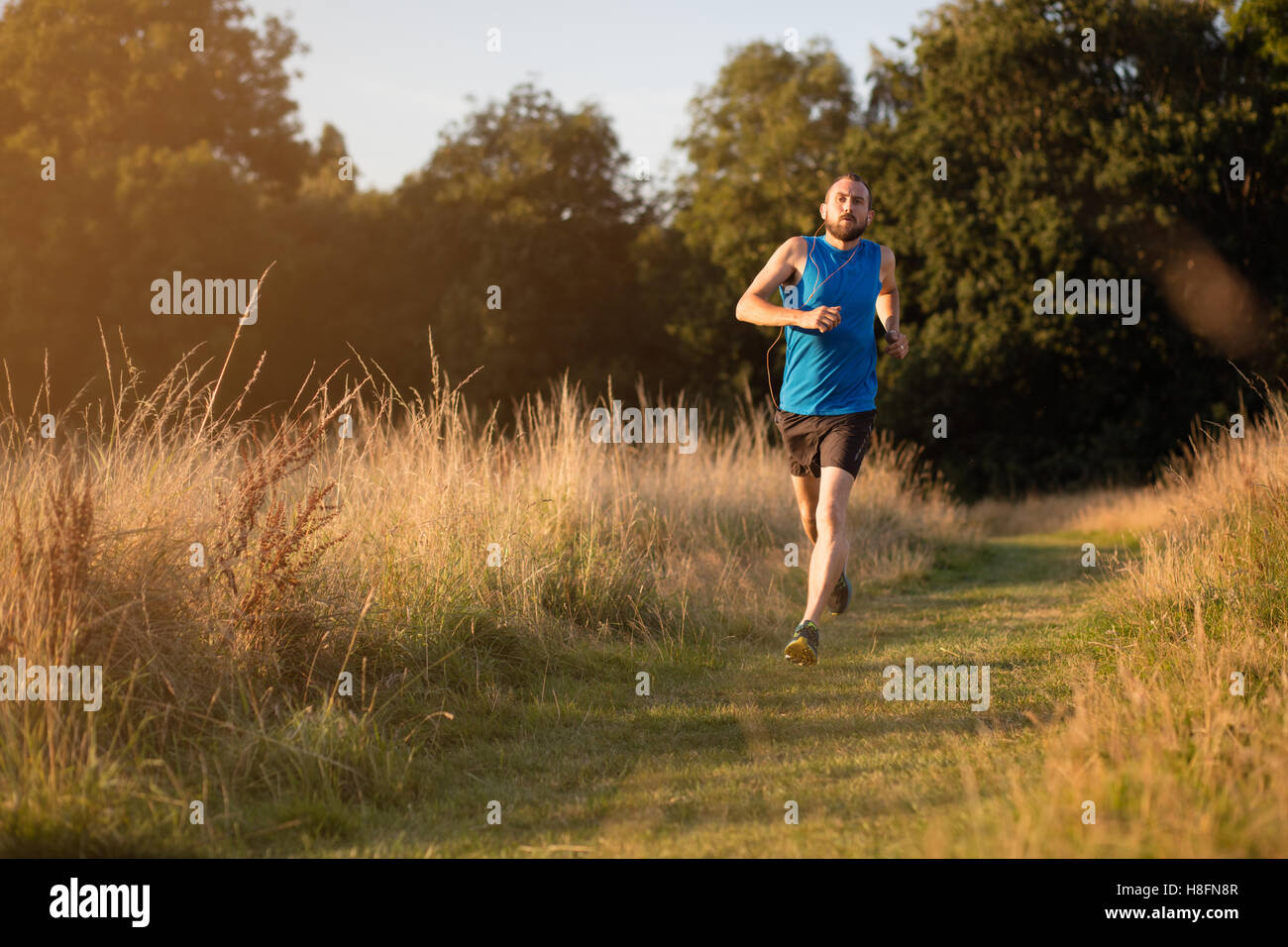 Young athletic man on his evening run in the park Stock Photo - Alamy
