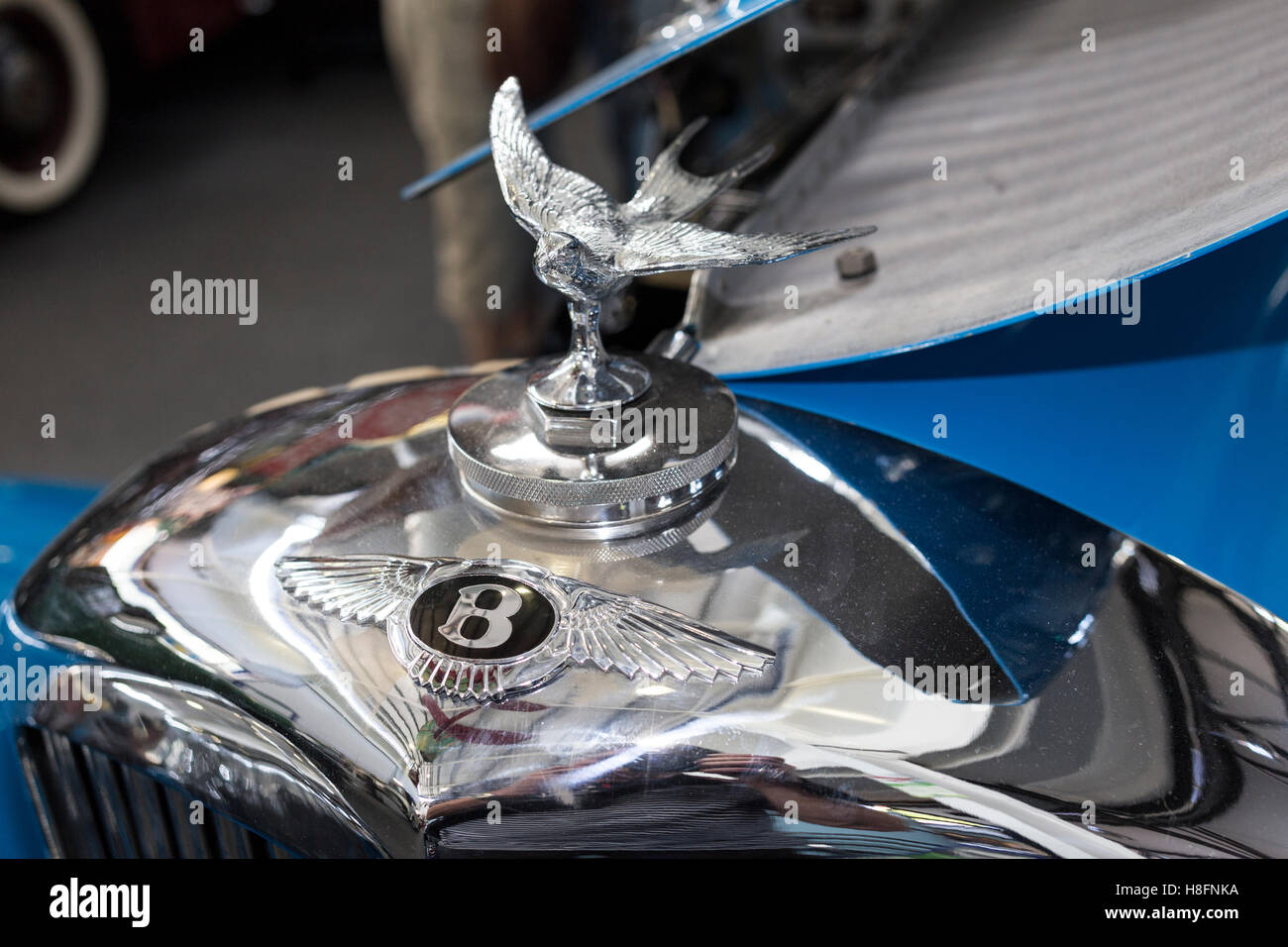 Windermere flying bird mascot hi-res stock photography and images - Alamy