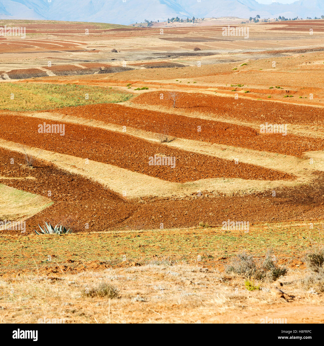 blur in lesotho malealea street village near mountain and coultivation ...