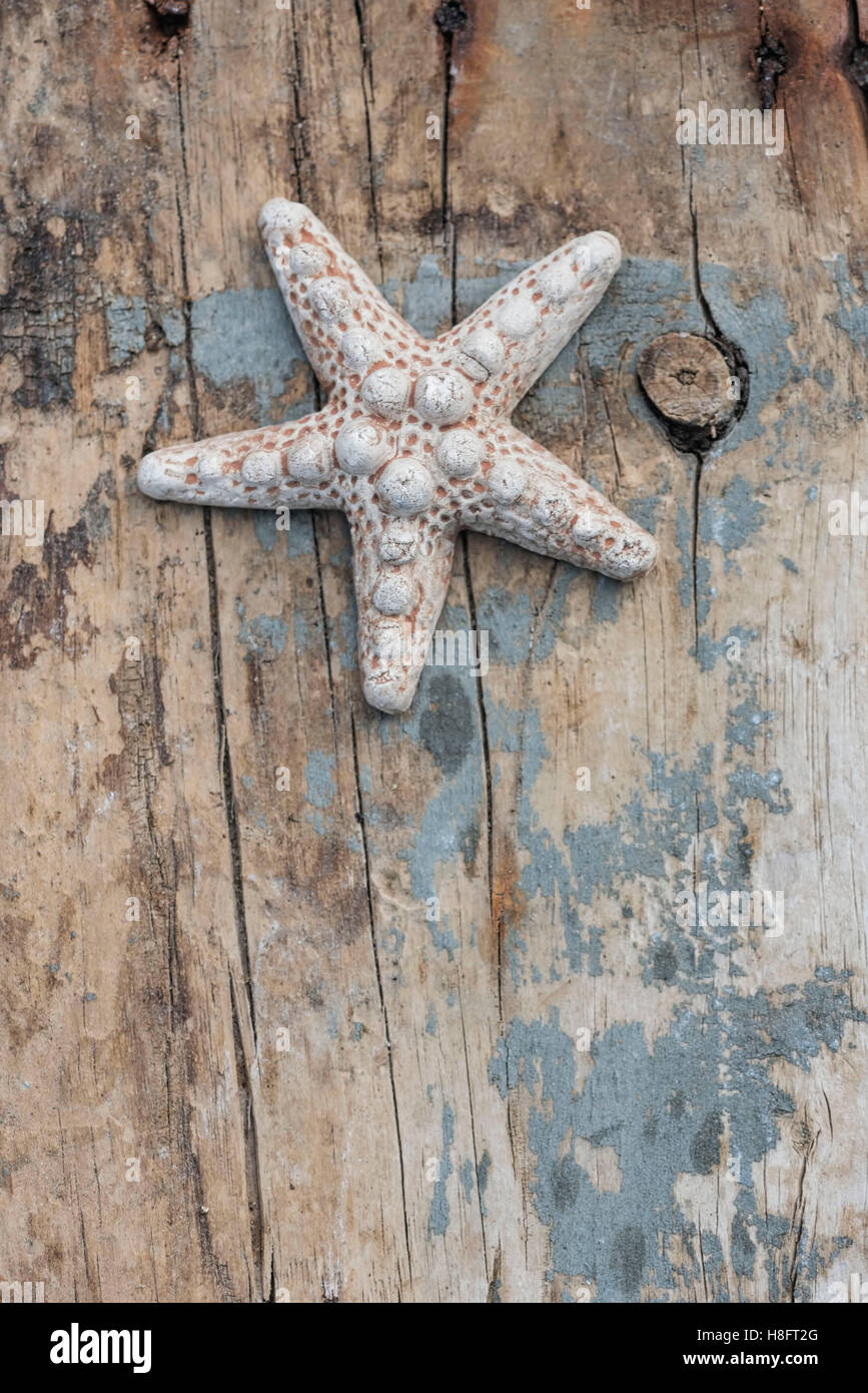 Starfish on old wooden board, maritime still life Stock Photo - Alamy