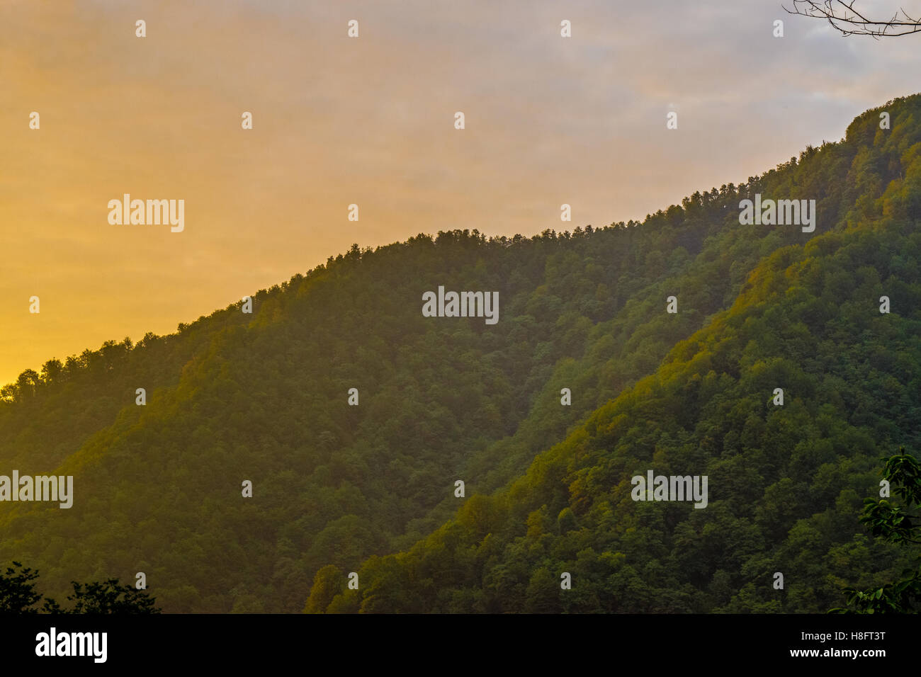 Latoon High Resolution Stock Photography and Images - Alamy