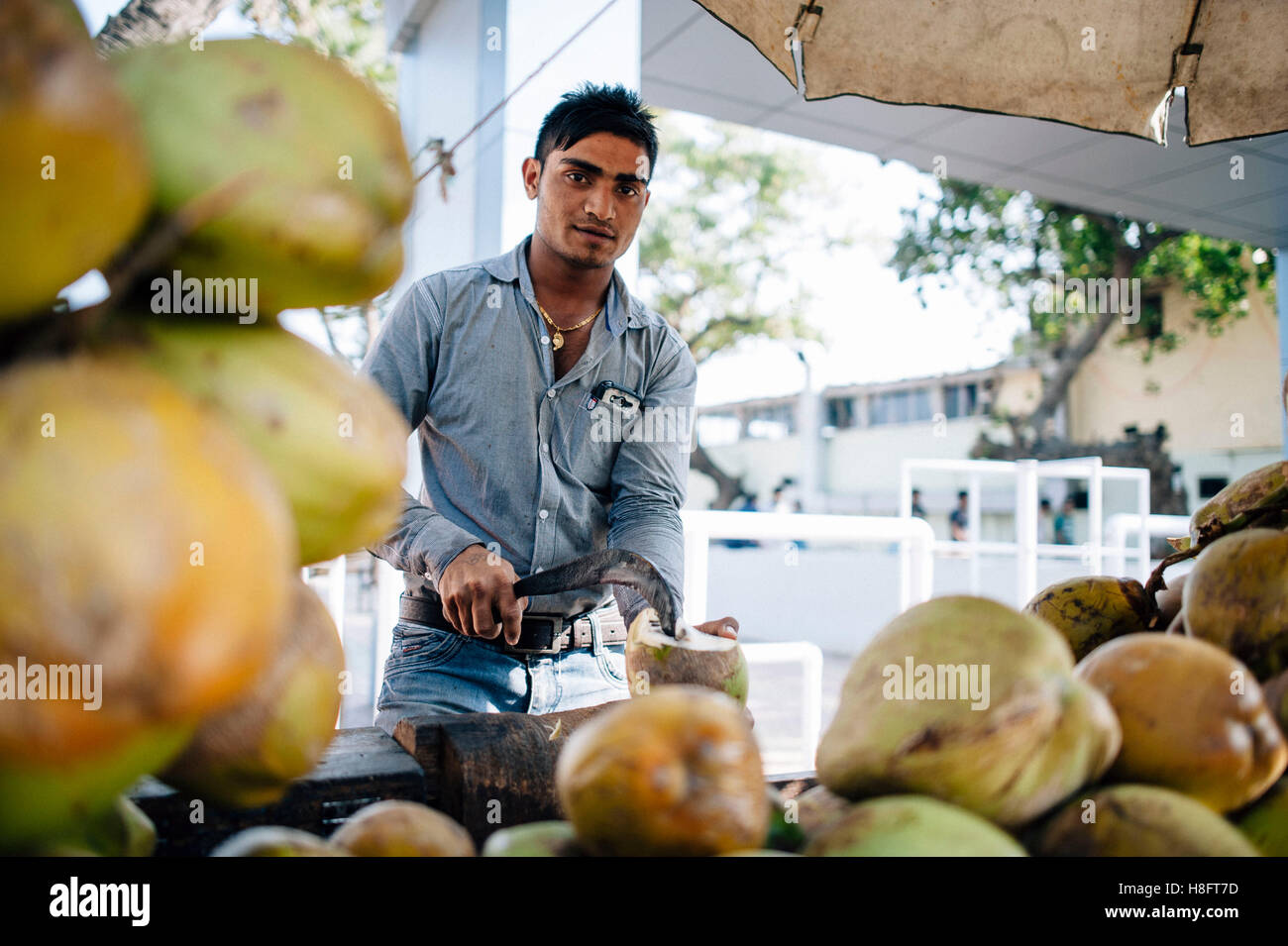 Coconut seller on the beach of Diu, India Stock Photo - Alamy