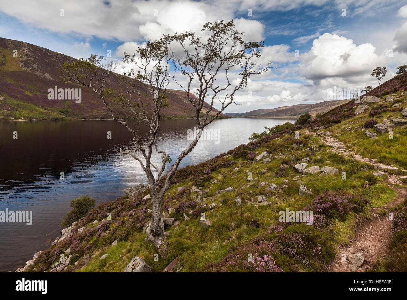 Loch Muick in the Cairngorms National Park of Scotland Stock Photo - Alamy