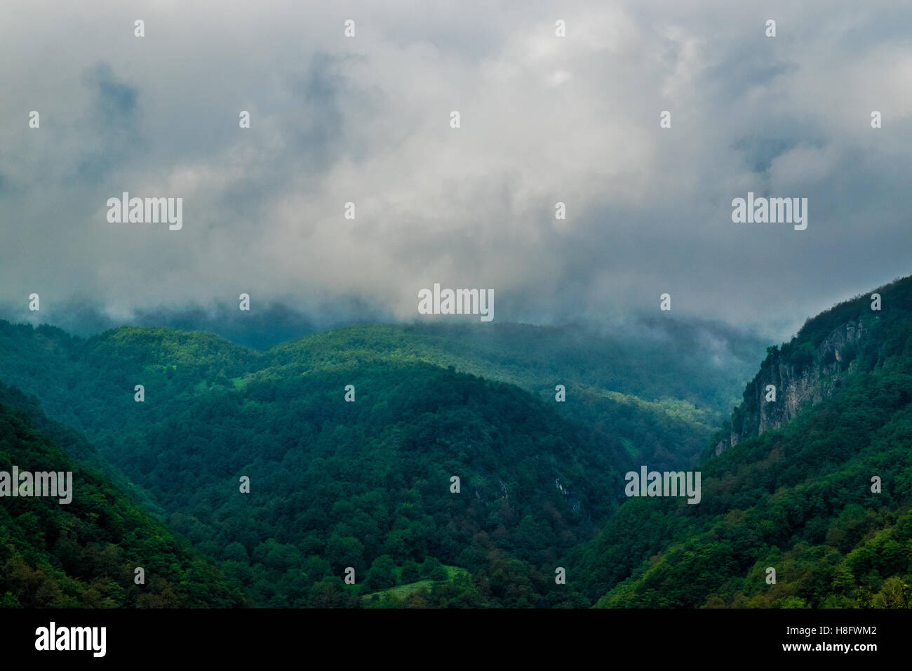 Latoon hi-res stock photography and images - Alamy
