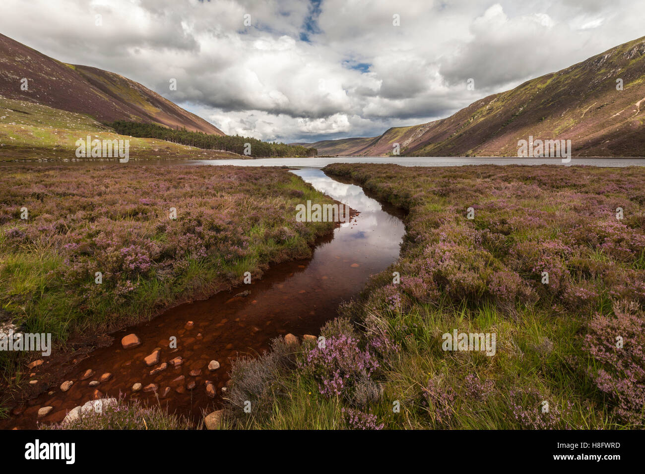 Loch Muick in the Cairngorms National Park of Scotland Stock Photo - Alamy
