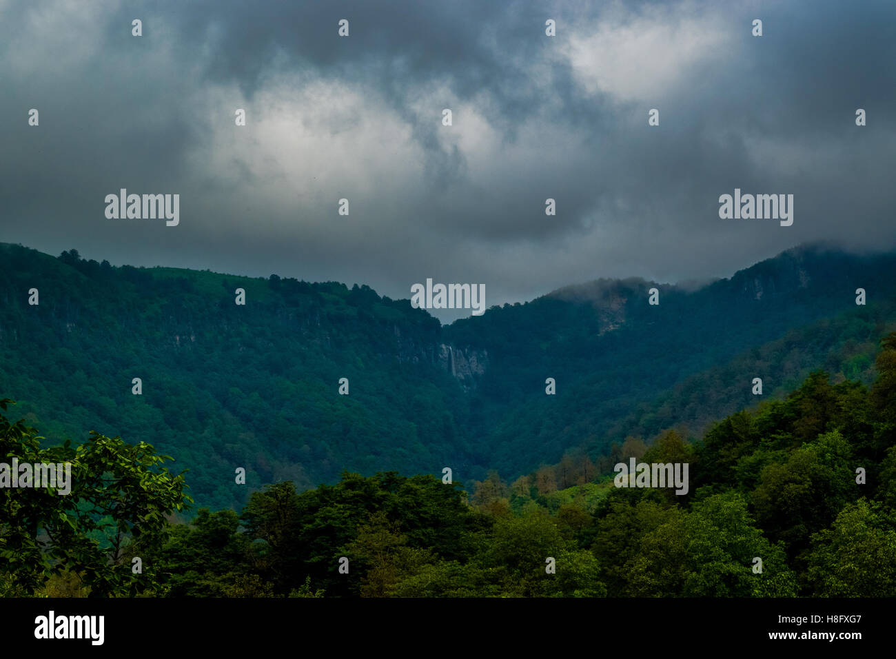 Latoon High Resolution Stock Photography and Images - Alamy