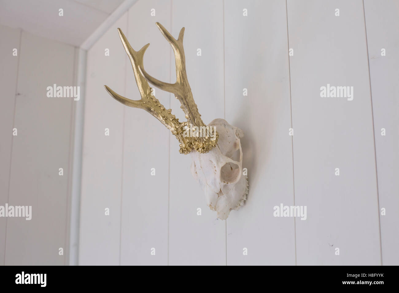 Wall decoration, golden antlers Stock Photo - Alamy