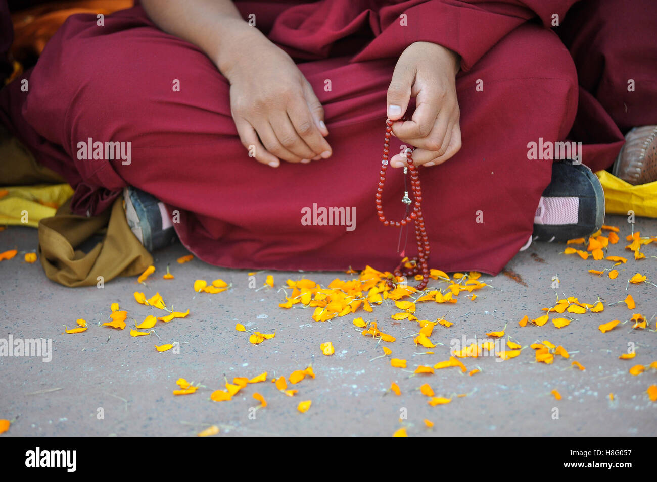 Kathmandu, Nepal. 11th November, 2016. A Nepalese Buddhist Monk ...