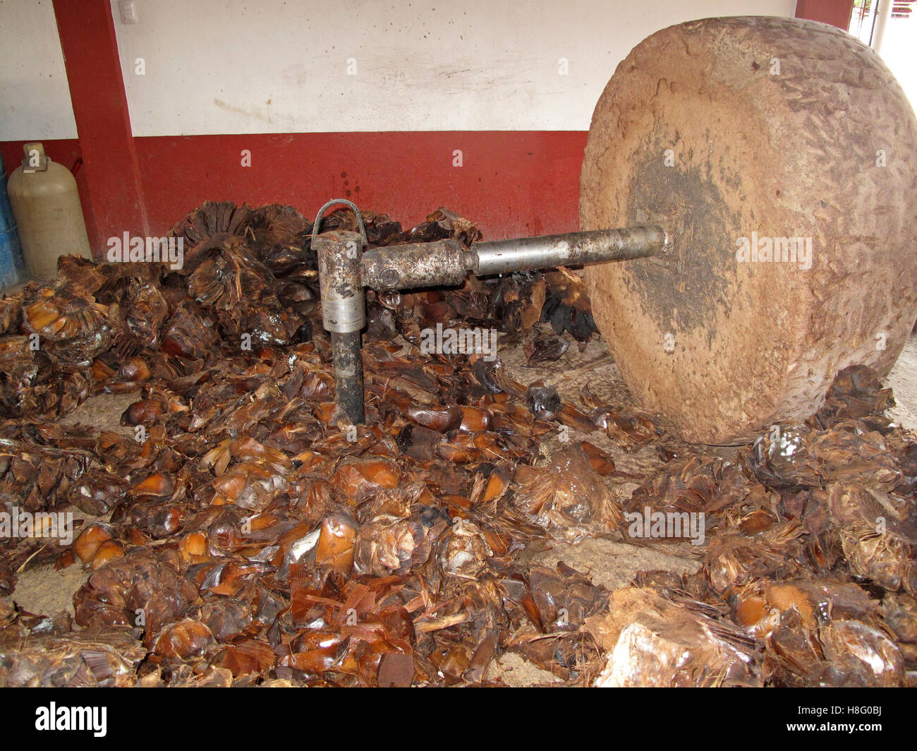 Mezcal agave oaxaca hi-res stock photography and images - Alamy
