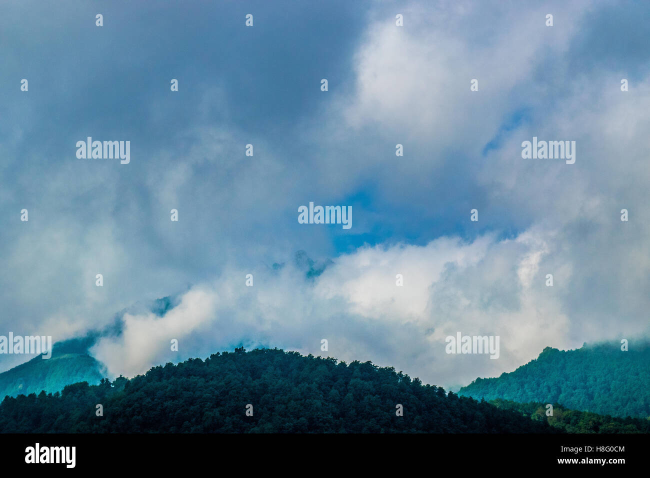 Latoon hi-res stock photography and images - Alamy