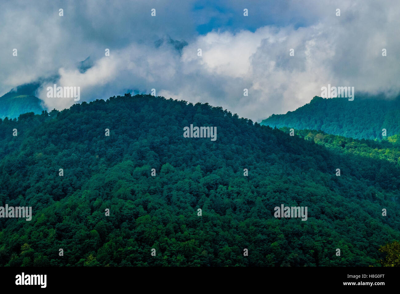 Latoon hi-res stock photography and images - Alamy