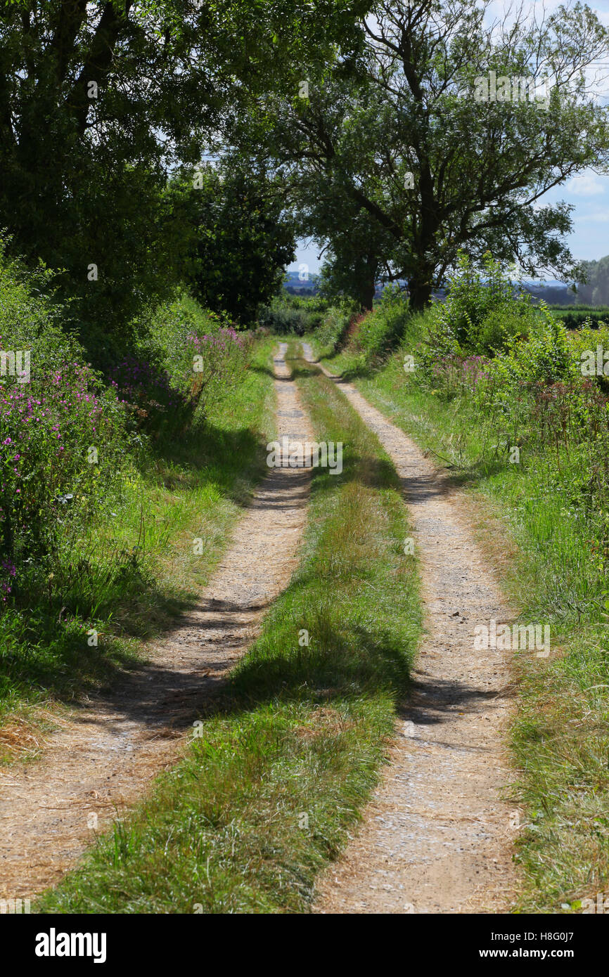 Country lane, grass track, horizon trail wilderness perspective ...