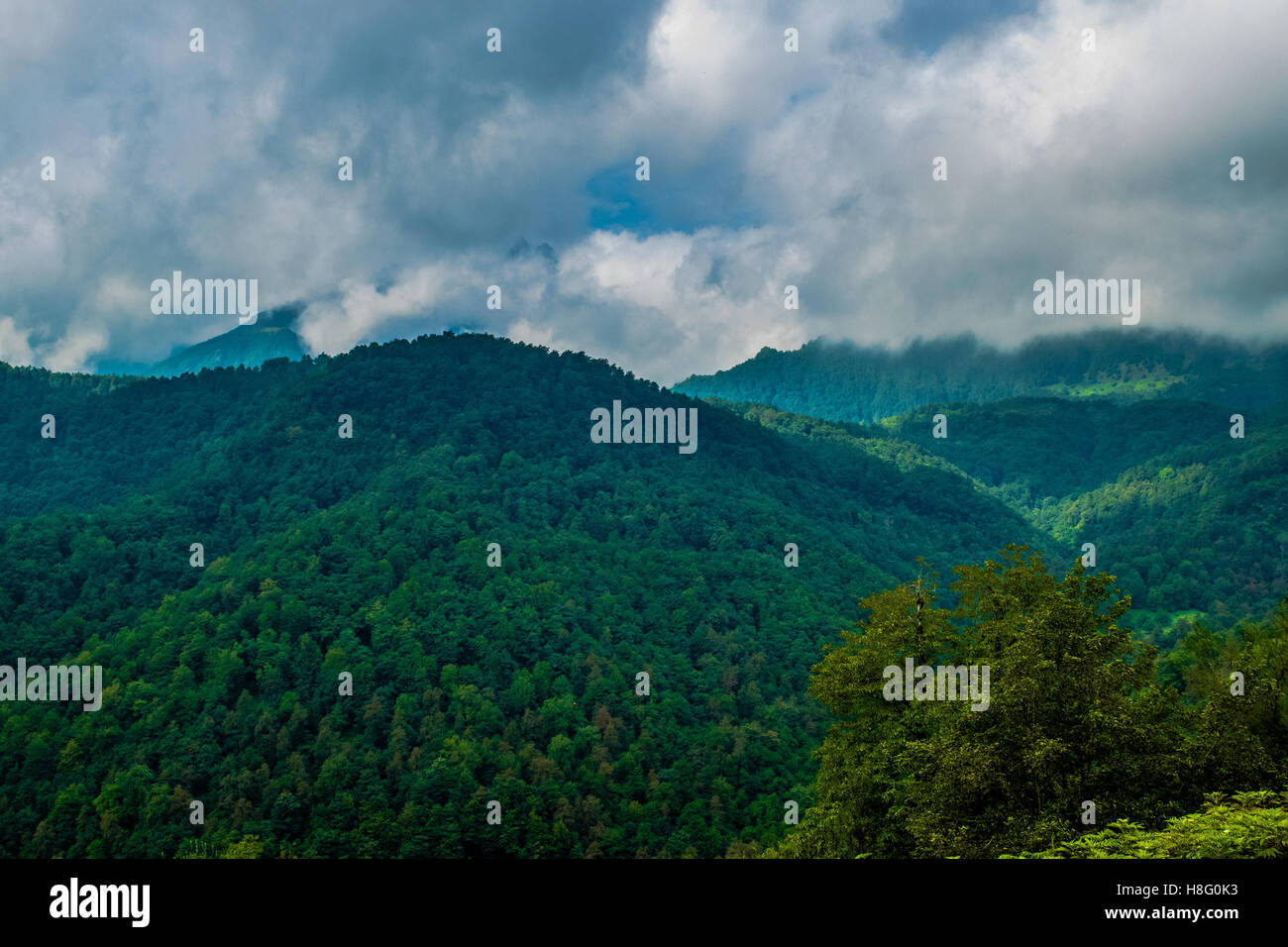 Latoon hi-res stock photography and images - Alamy