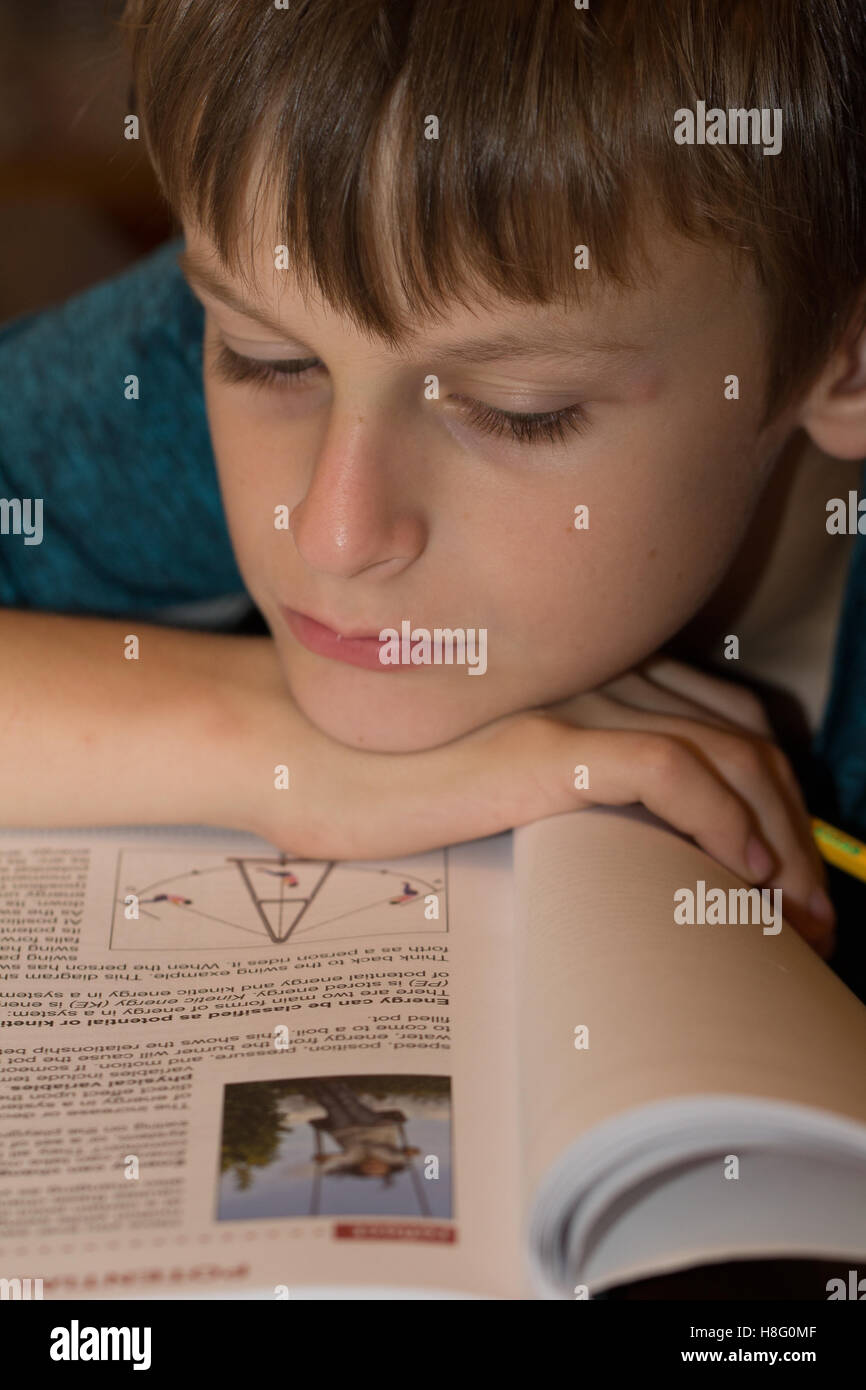 Boy Studying Workbook Stock Photo - Alamy