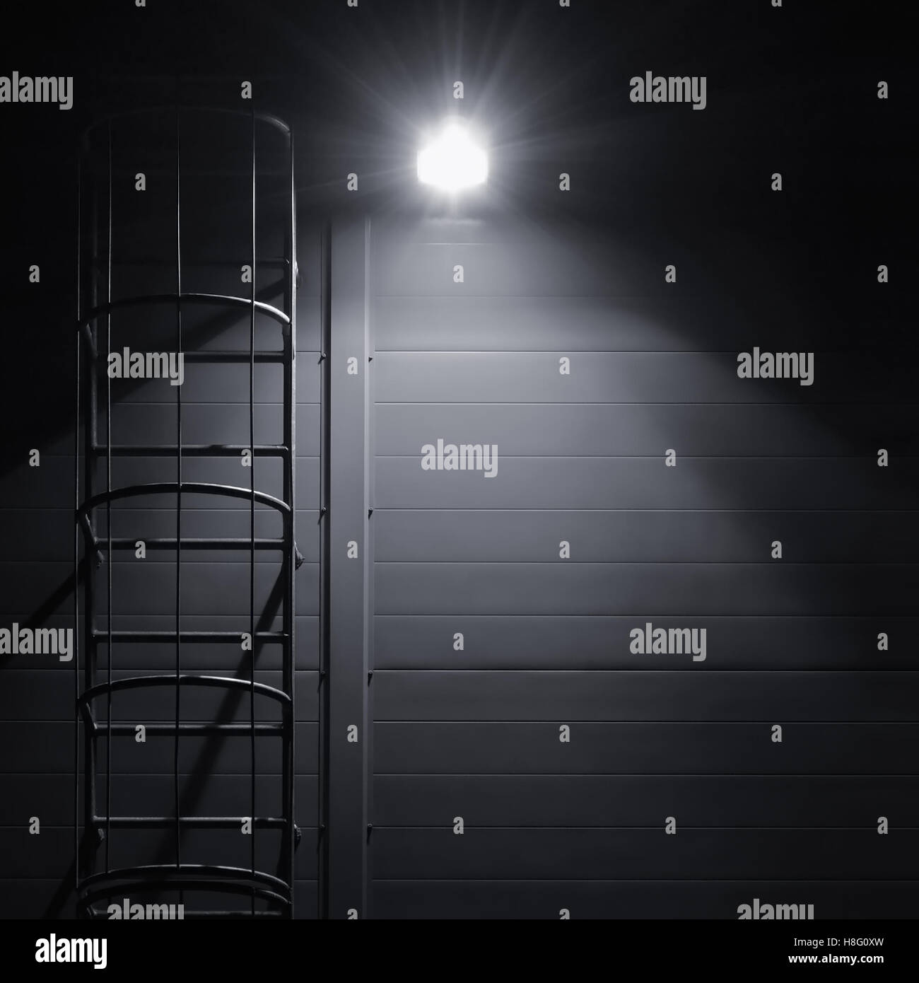 Fire emergency rescue access escape ladder stairway, roof maintenance ...