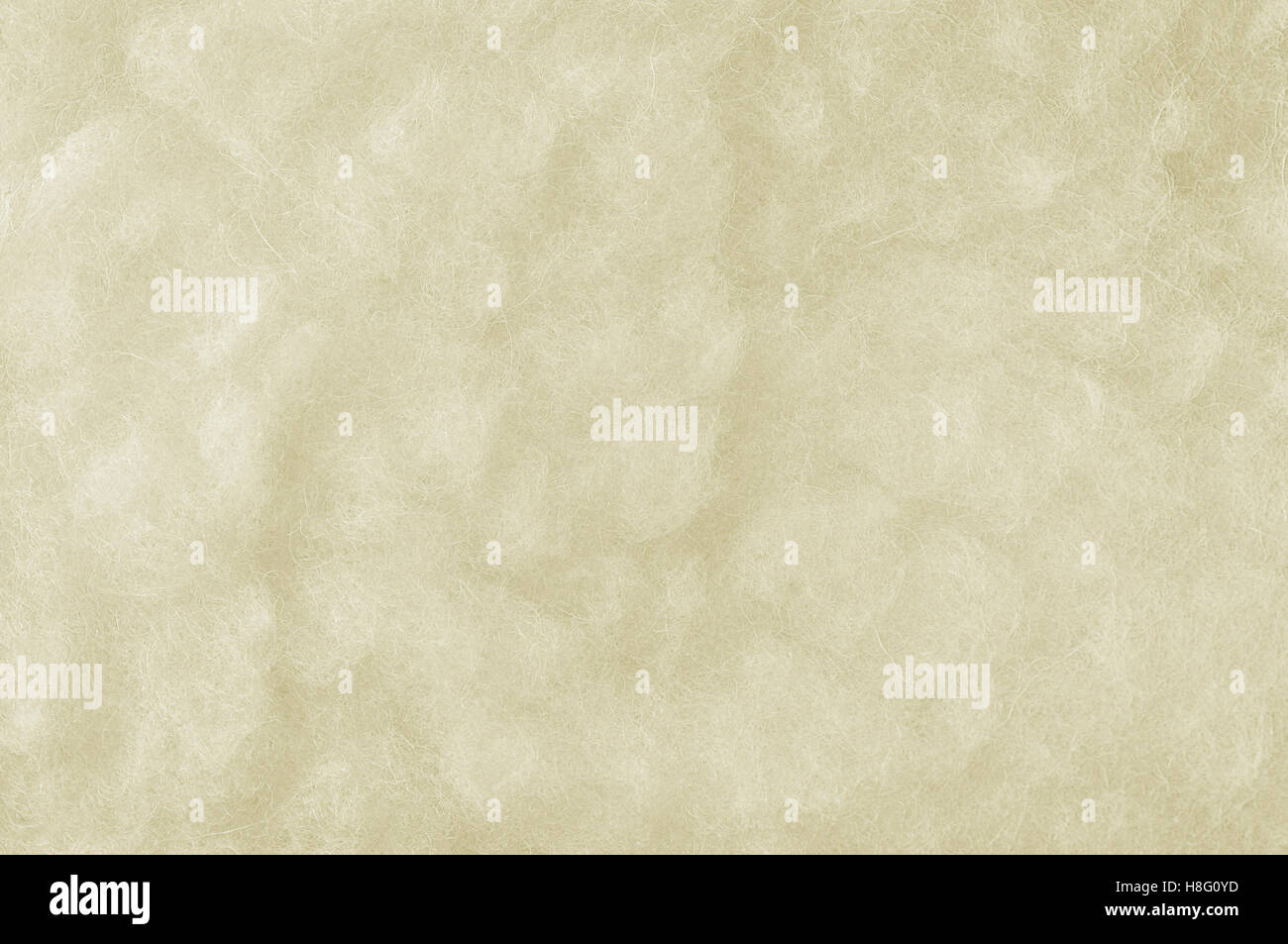 Raw Merino Sheep Wool Macro Closeup, Large Detailed White Textured ...