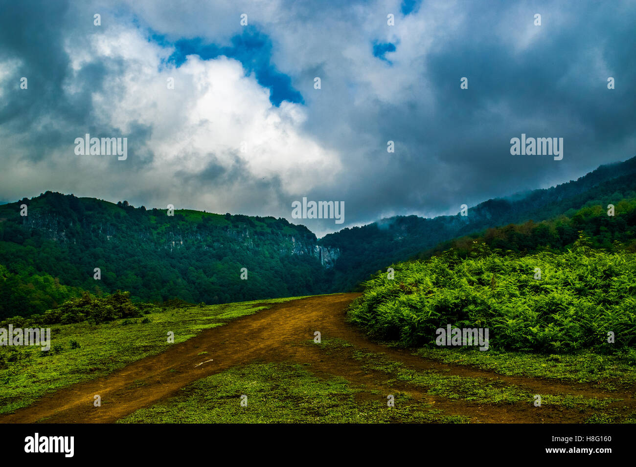 Latoon hi-res stock photography and images - Alamy