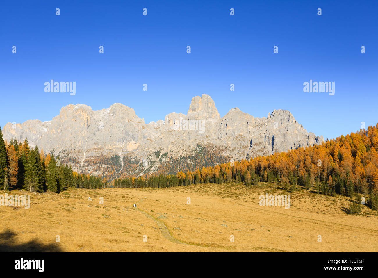 Autumn landscape from italian Alps. Yellow trees. Beautiful dolomites ...