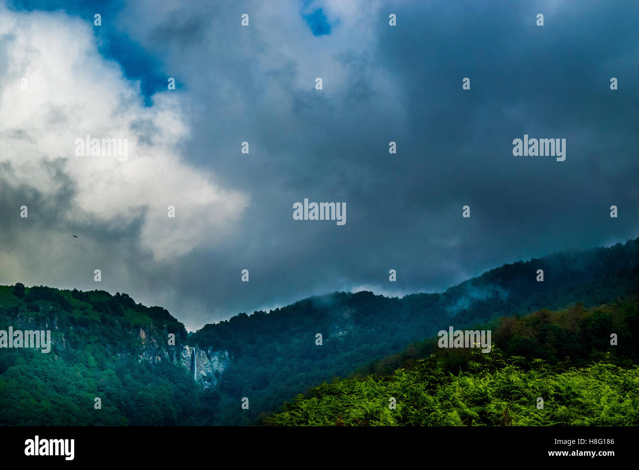Latoon hi-res stock photography and images - Alamy