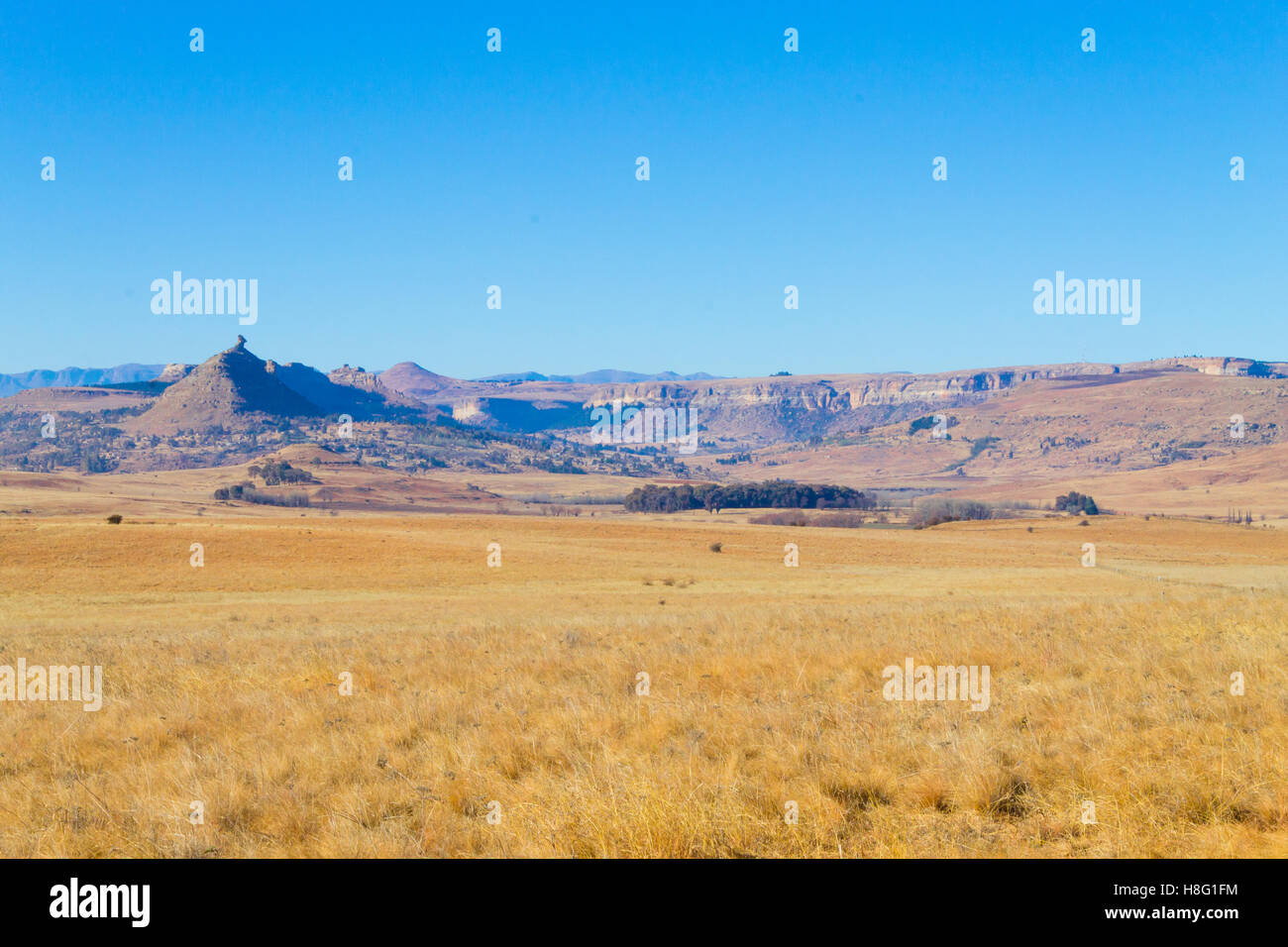 Orange Free State panorama on the road to Karoo, South Africa. African ...