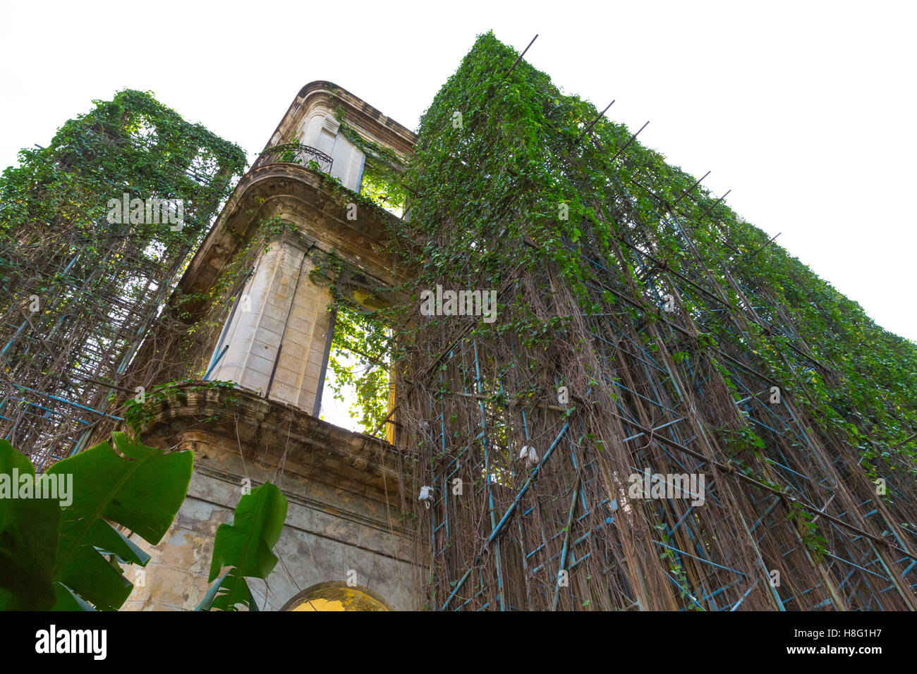 Ruin in the old town of Havana, construction rack covered with plants ...