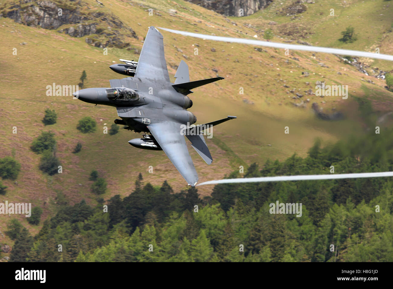 McDonnell Douglas Boeing F15E Strike Eagle 91-0312 F-15E-51-MC VI 1219 ...