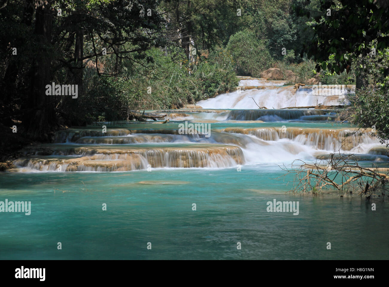 Agua Azul waterfalls, Mexico Stock Photo - Alamy