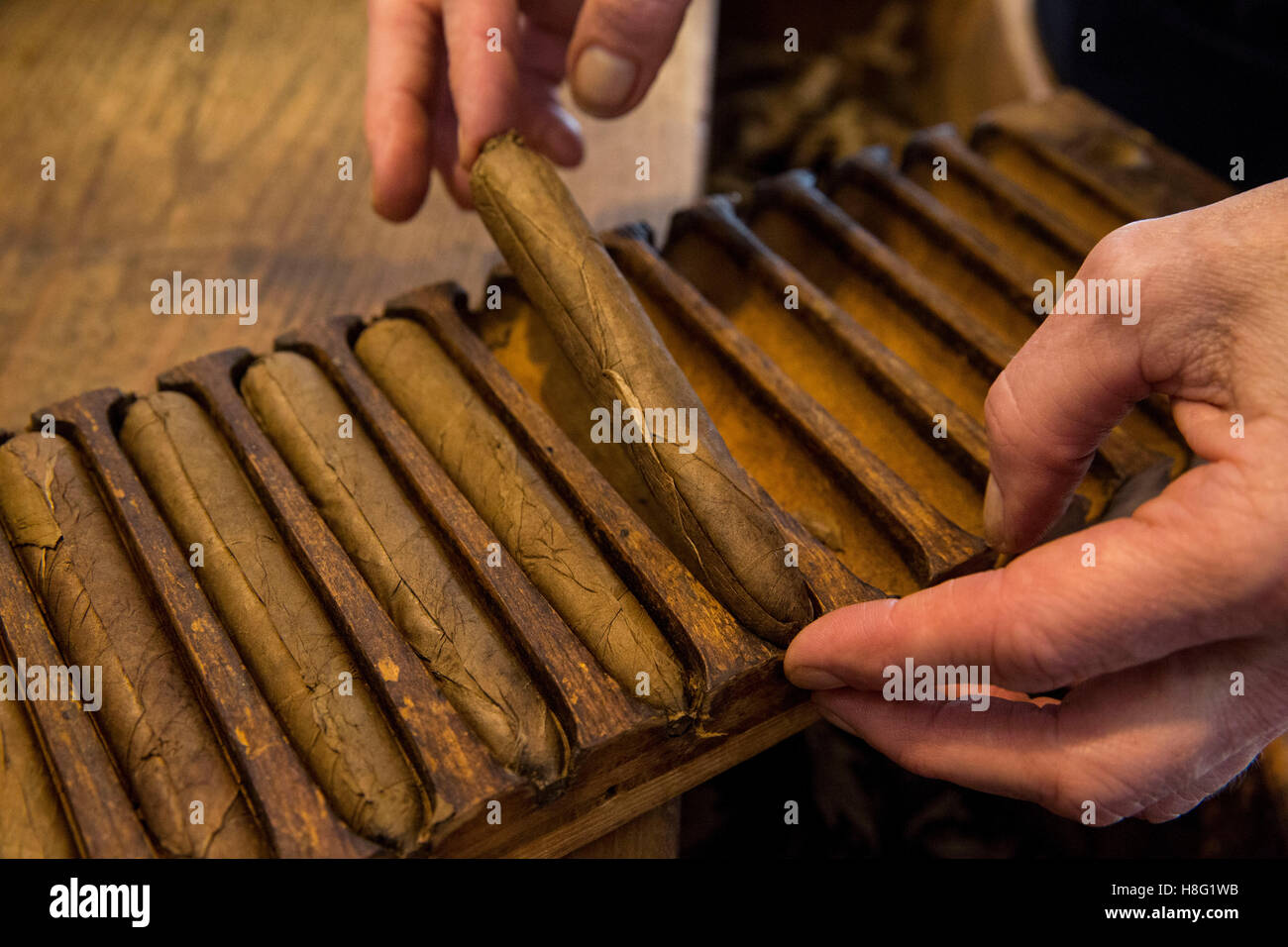Cigar manufacture form cigars High Resolution Stock Photography and ...