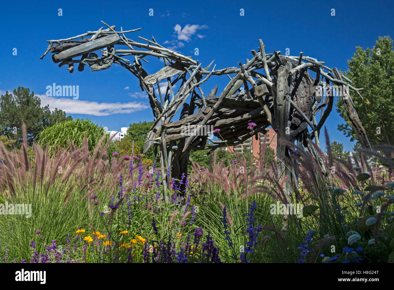Woodrow colorado hi-res stock photography and images - Alamy