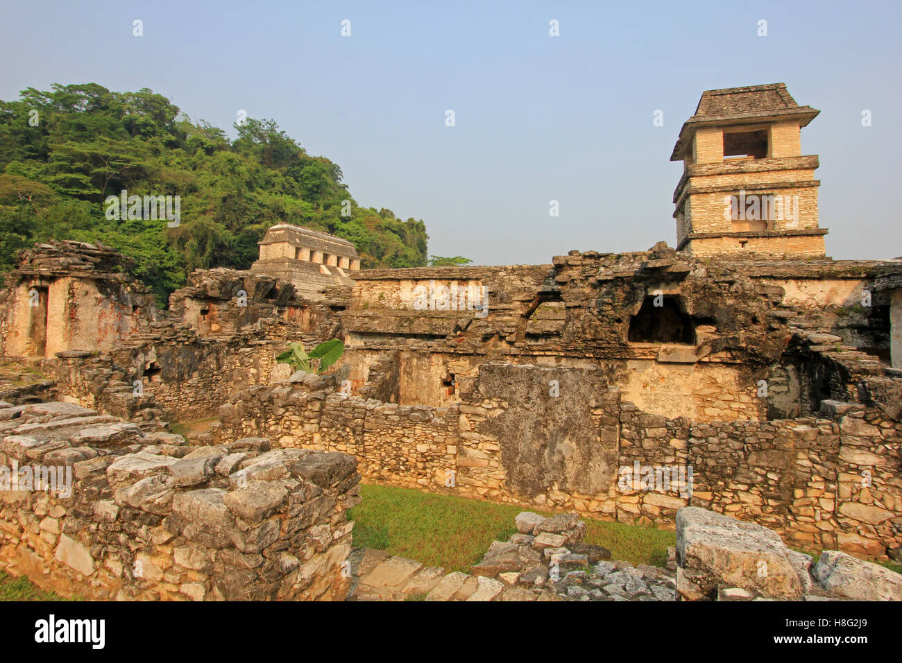 Mayan ruins Palenque, Chiapas, Mexico Stock Photo - Alamy