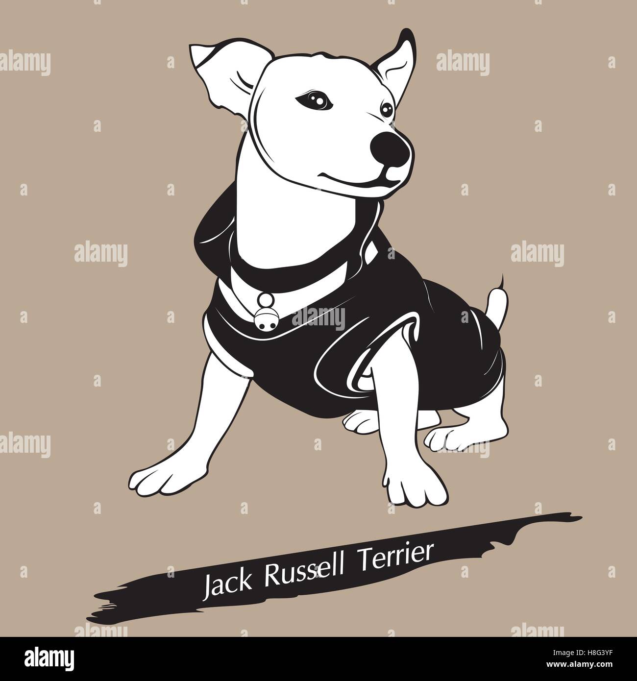 dog, jack, vector, terrier, Russell, illustration, cute, face, white ...
